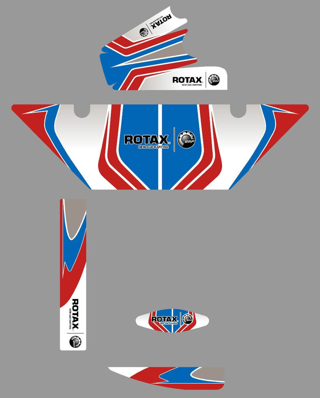 Zanardi Replica (European) DD2 / Rotax Max Radiator Stickers ...